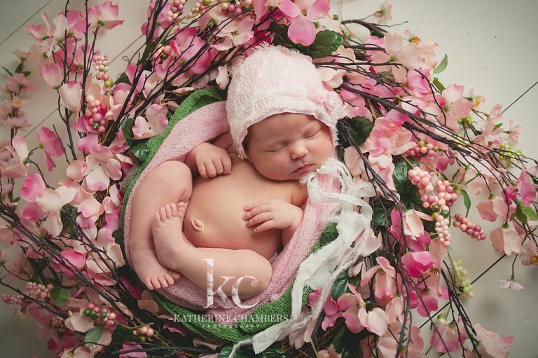 Newborn Easter Photos - Cleveland Newborn & Baby Photographer ...